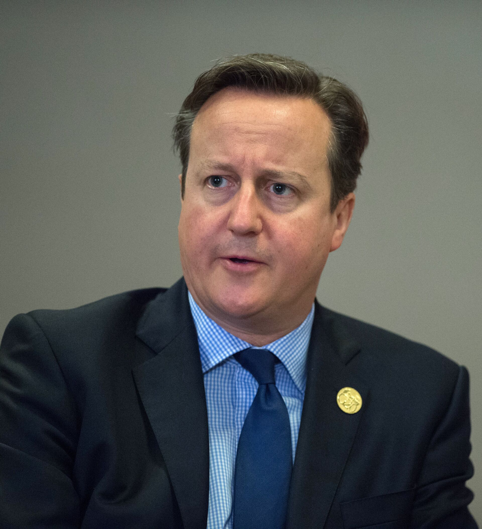 卡梅伦：土耳其在3000年前不会成为欧盟成员 - 2016年5月22日, 俄罗斯卫星通讯社